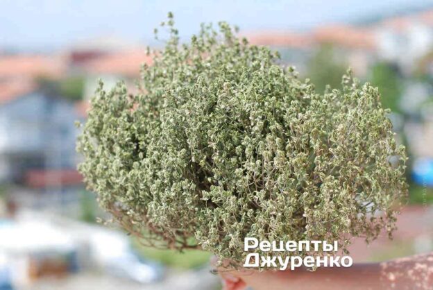Чабер (чубрица) - пошаговый рецепт Сергея Джуренко